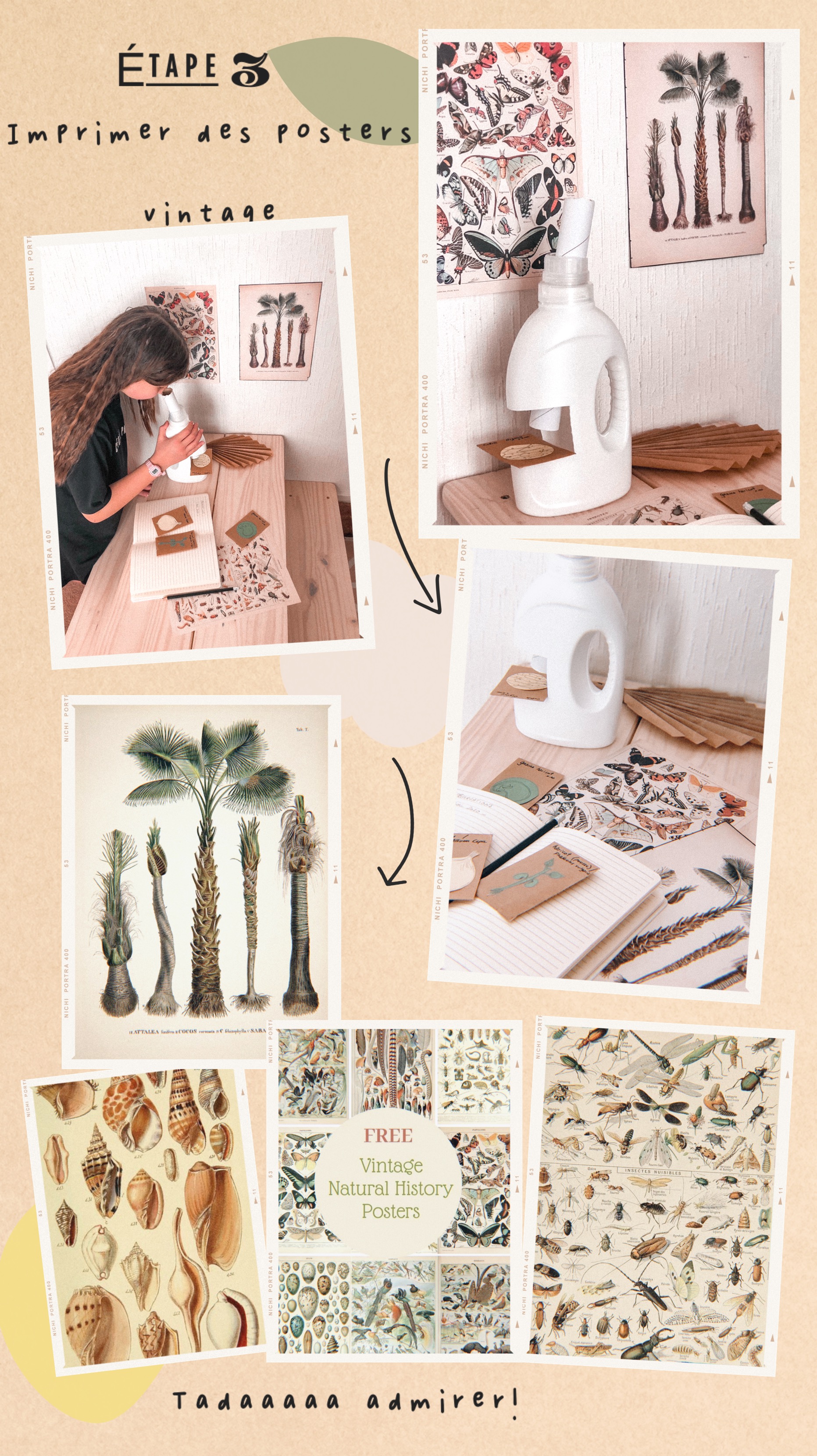 {DIY} Un microscope de biologiste